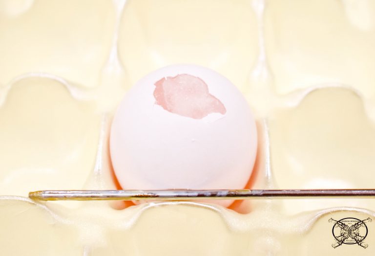 Cascarones Smash Eggs for Easter – JENRON DESIGNS