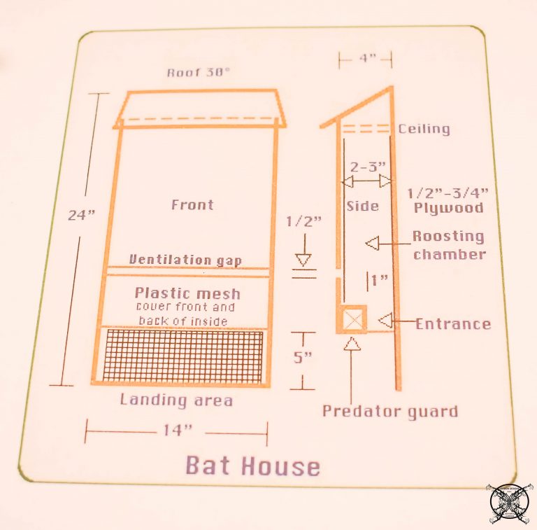 Bat House DIY - JENRON DESIGNS