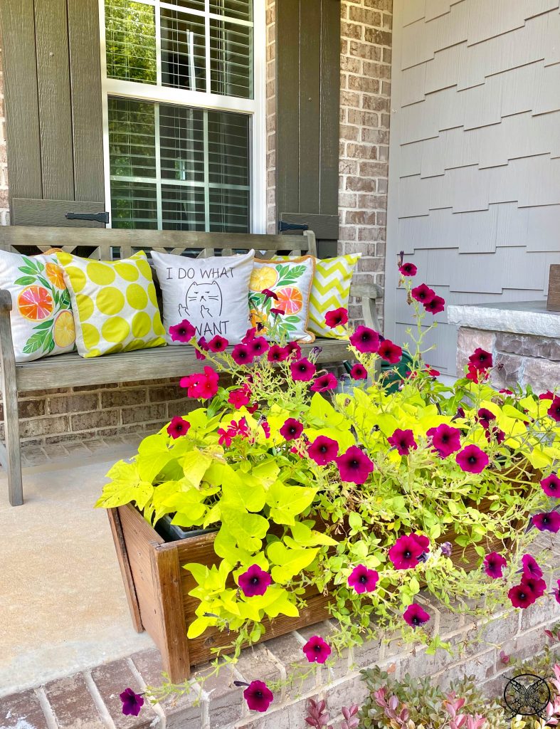 Easy Container Garden Combinations – JENRON DESIGNS