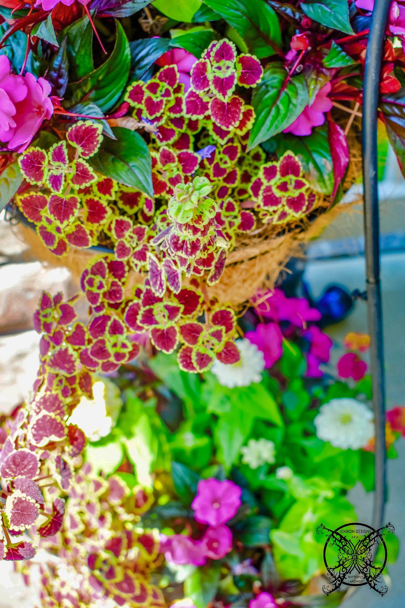 Easy Container Garden Combinations – JENRON DESIGNS