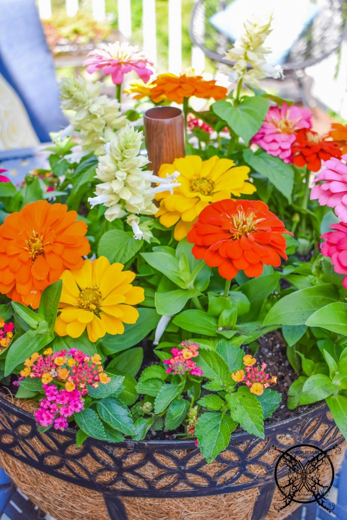 Easy Container Garden Combinations – JENRON DESIGNS