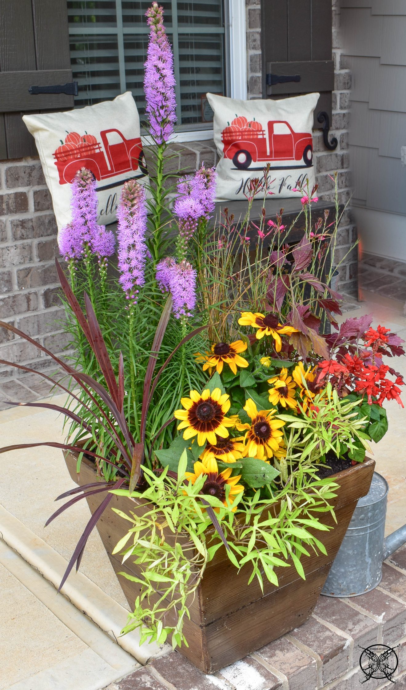 Easy Container Garden Combinations – JENRON DESIGNS