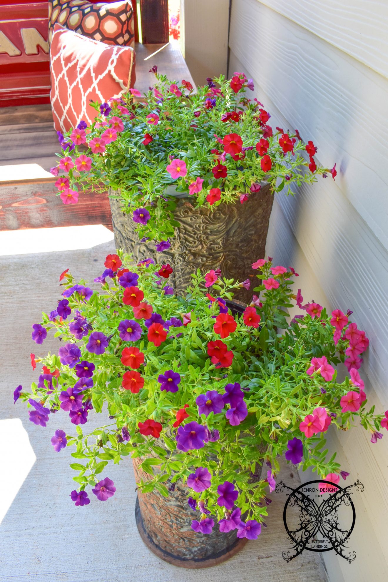 Easy Container Garden Combinations – JENRON DESIGNS