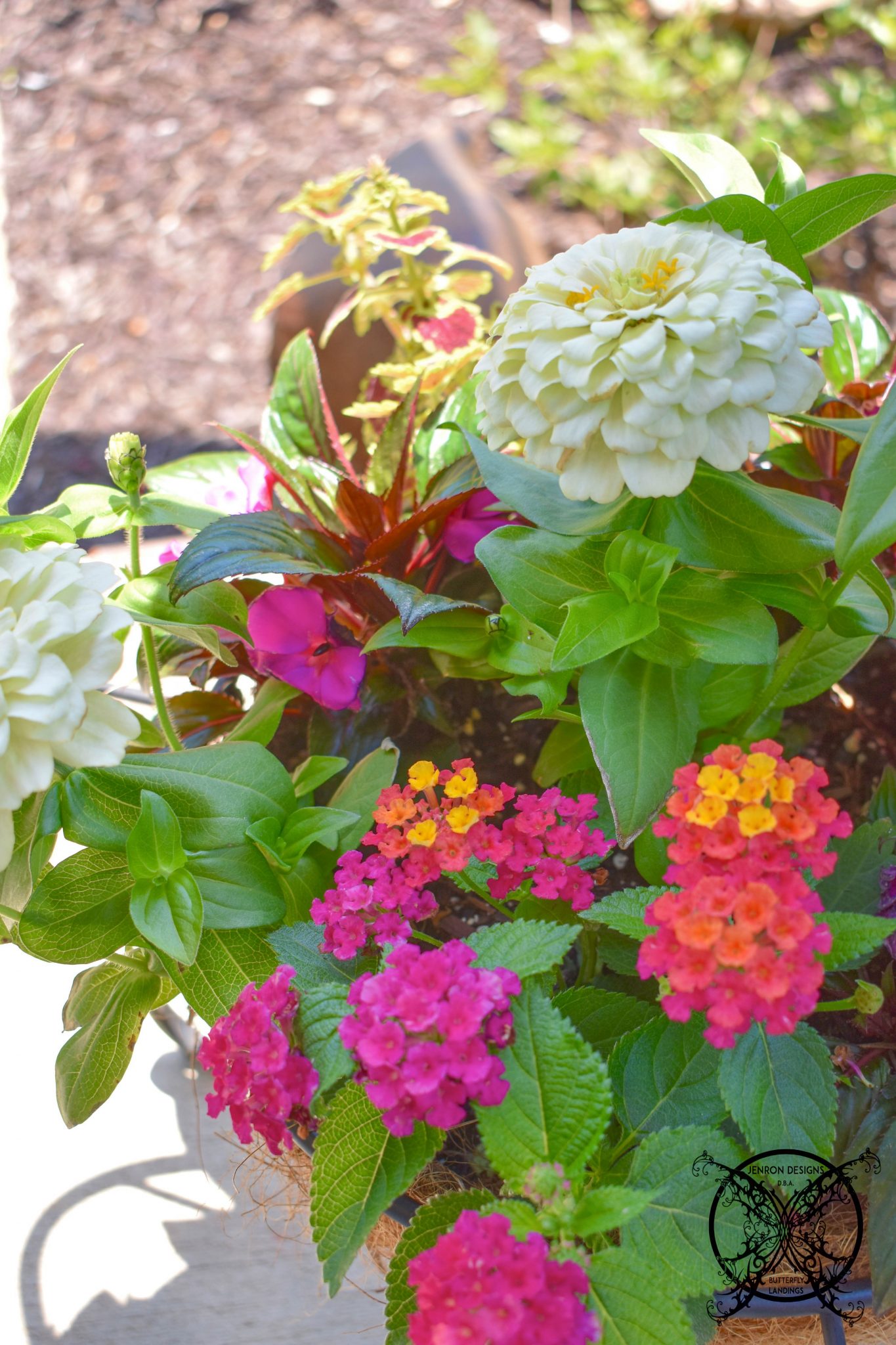 Easy Container Garden Combinations - JENRON DESIGNS