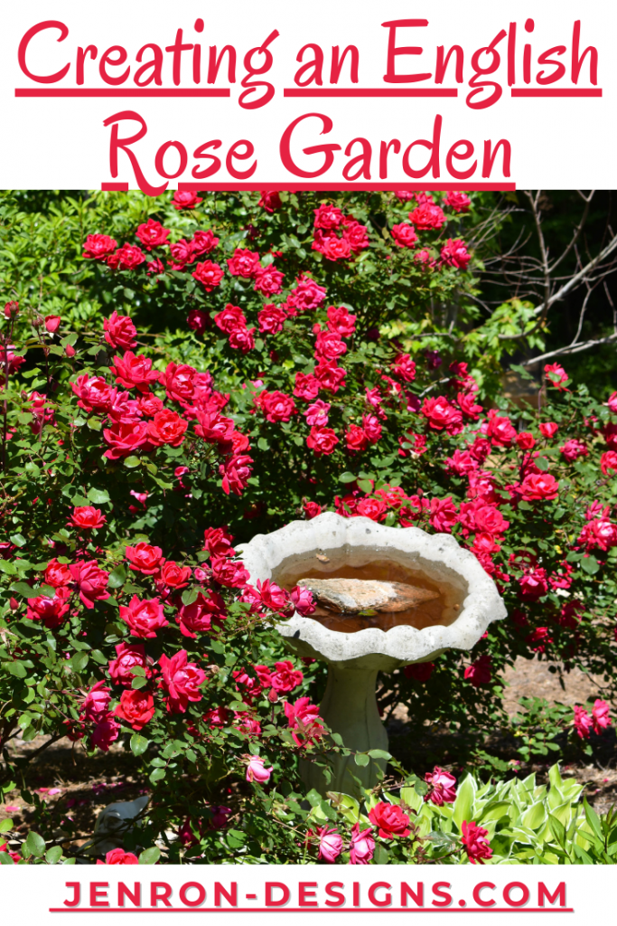 Creating an English Rose Garden – JENRON DESIGNS