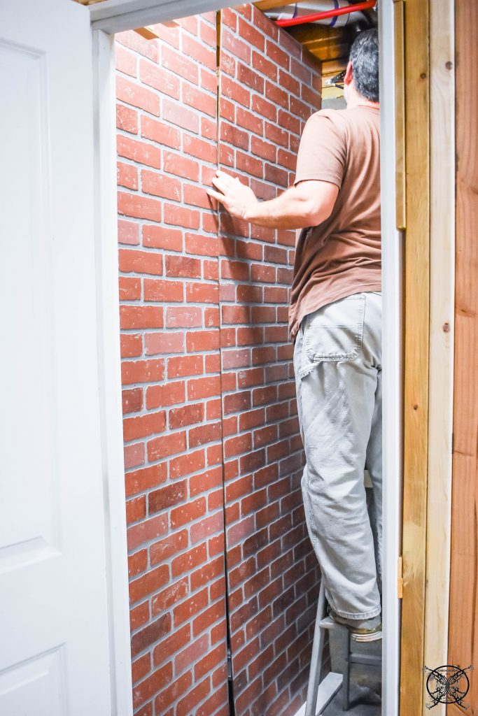 A Small Basement Pet Room – JENRON DESIGNS