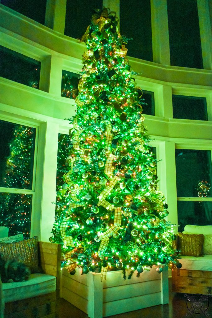 How Christmas Lights Make The Trees – JENRON DESIGNS
