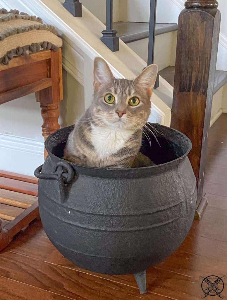 Getting All the Fall Feels? – JENRON DESIGNS